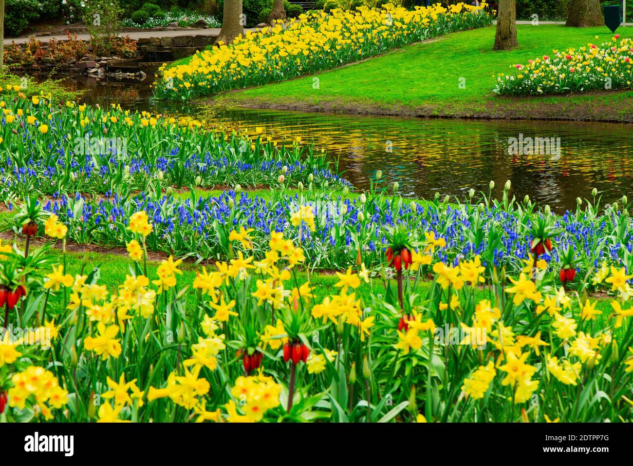 Spring pond lane hi-res stock photography and images - Alamy