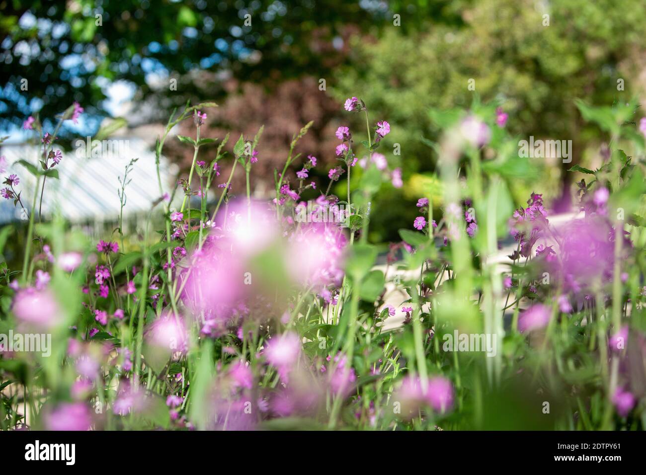 Newton hall hi-res stock photography and images - Alamy