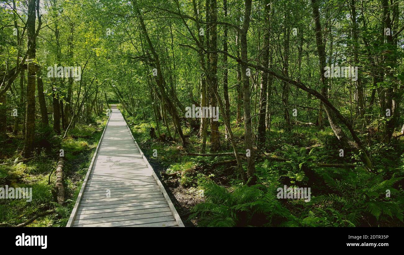 Raft footbridge hi-res stock photography and images - Alamy