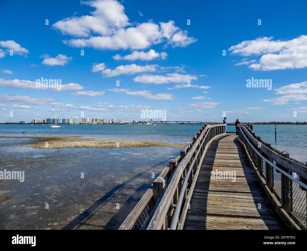 Mangrove Boardwalk on Sarasota Bay in Ken Thompson Park on Lido key in ...