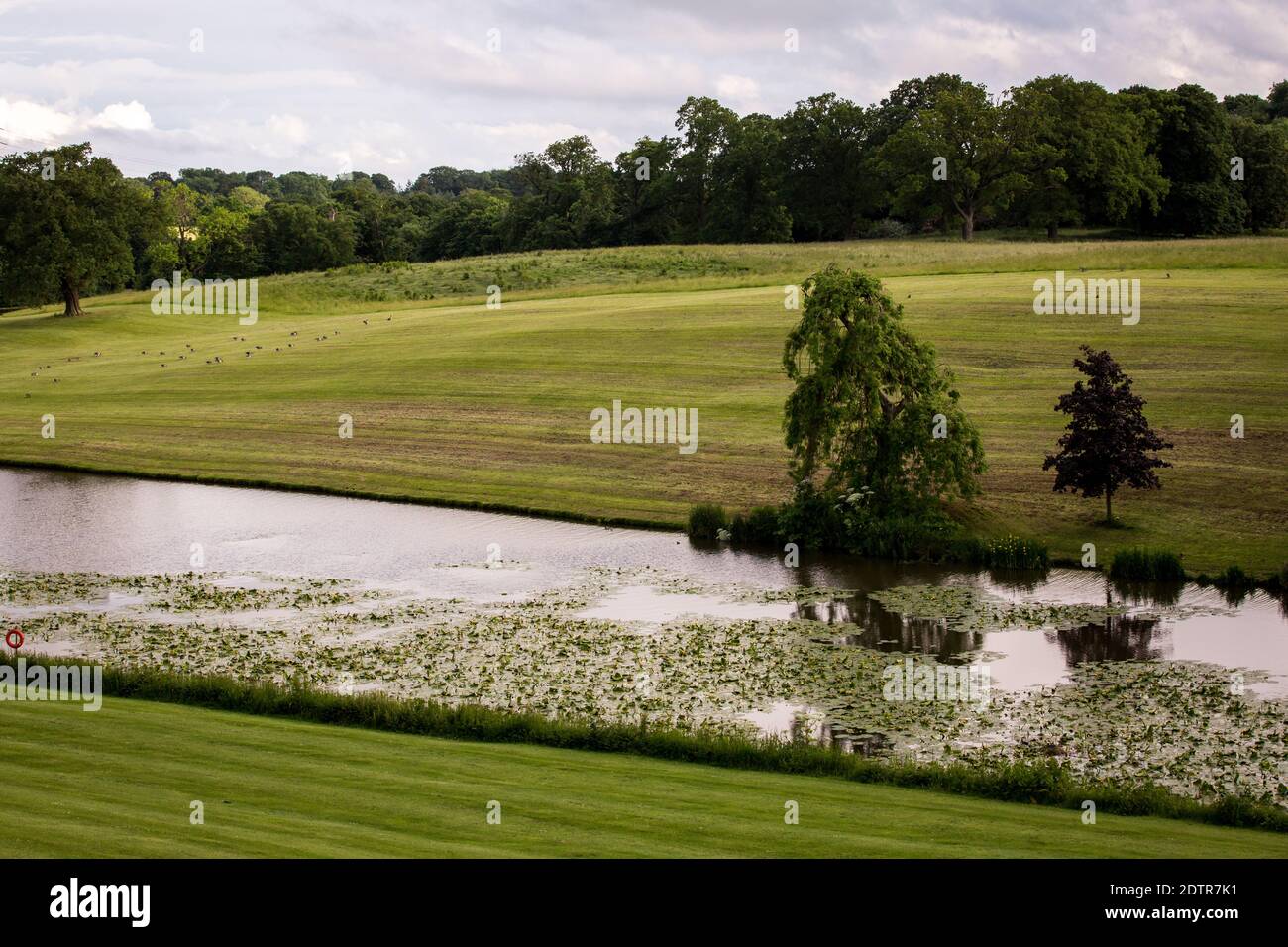 Wynyard hall gardens hi-res stock photography and images - Alamy
