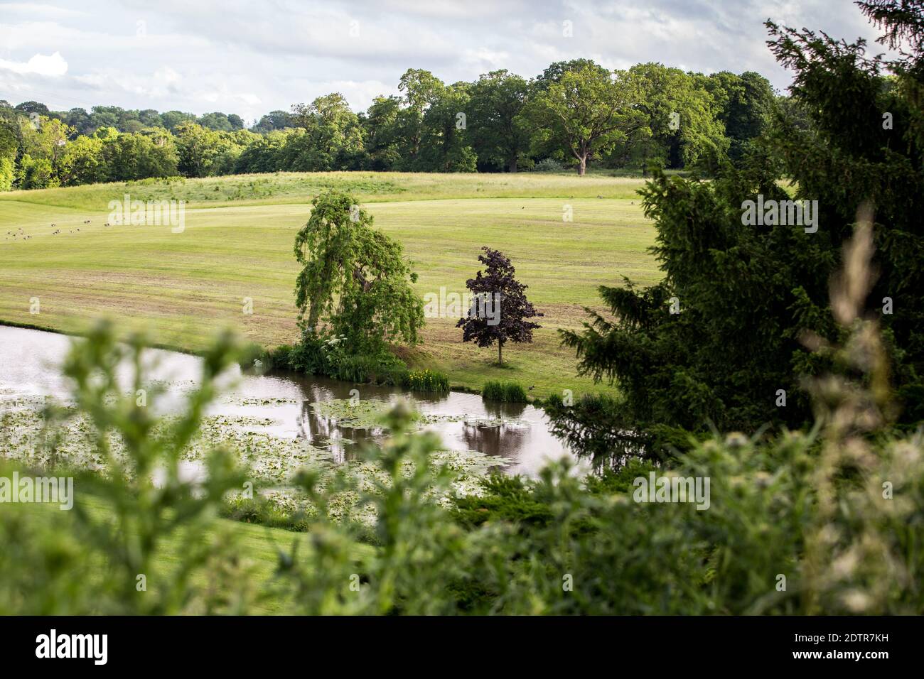 Wynyard hall gardens hi-res stock photography and images - Alamy