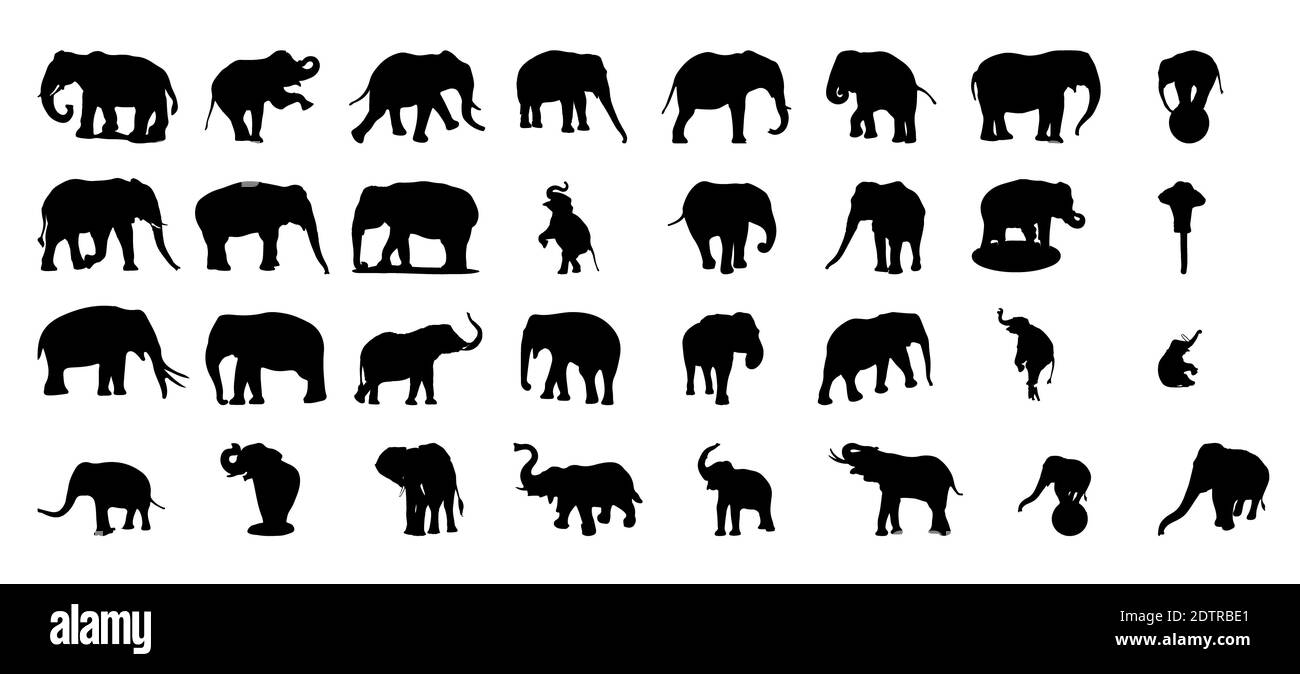 A set of silhouettes of elephants isolated on white background Stock ...
