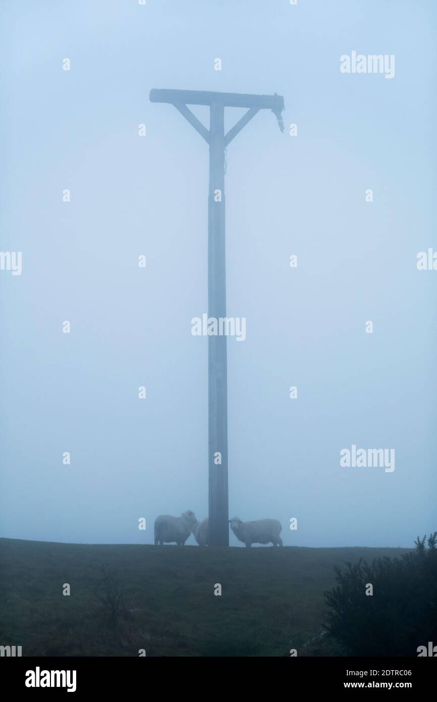 Execution hanging gallows hi-res stock photography and images - Alamy