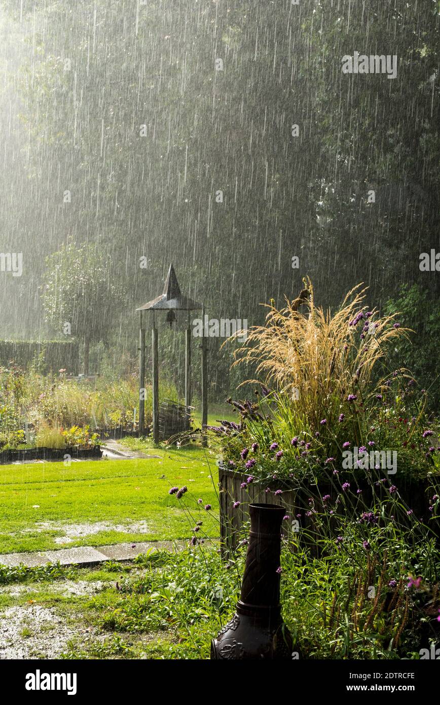 Rain garden design hi-res stock photography and images - Alamy