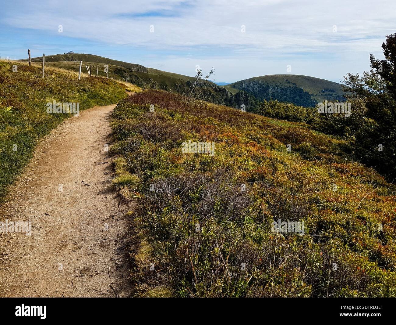 Hiking footpath in the Vosges mountains in FRance Stock Photo - Alamy