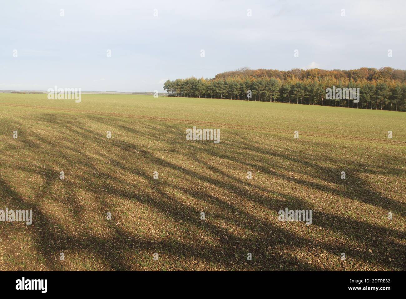 Huggate yorkshire hi-res stock photography and images - Alamy