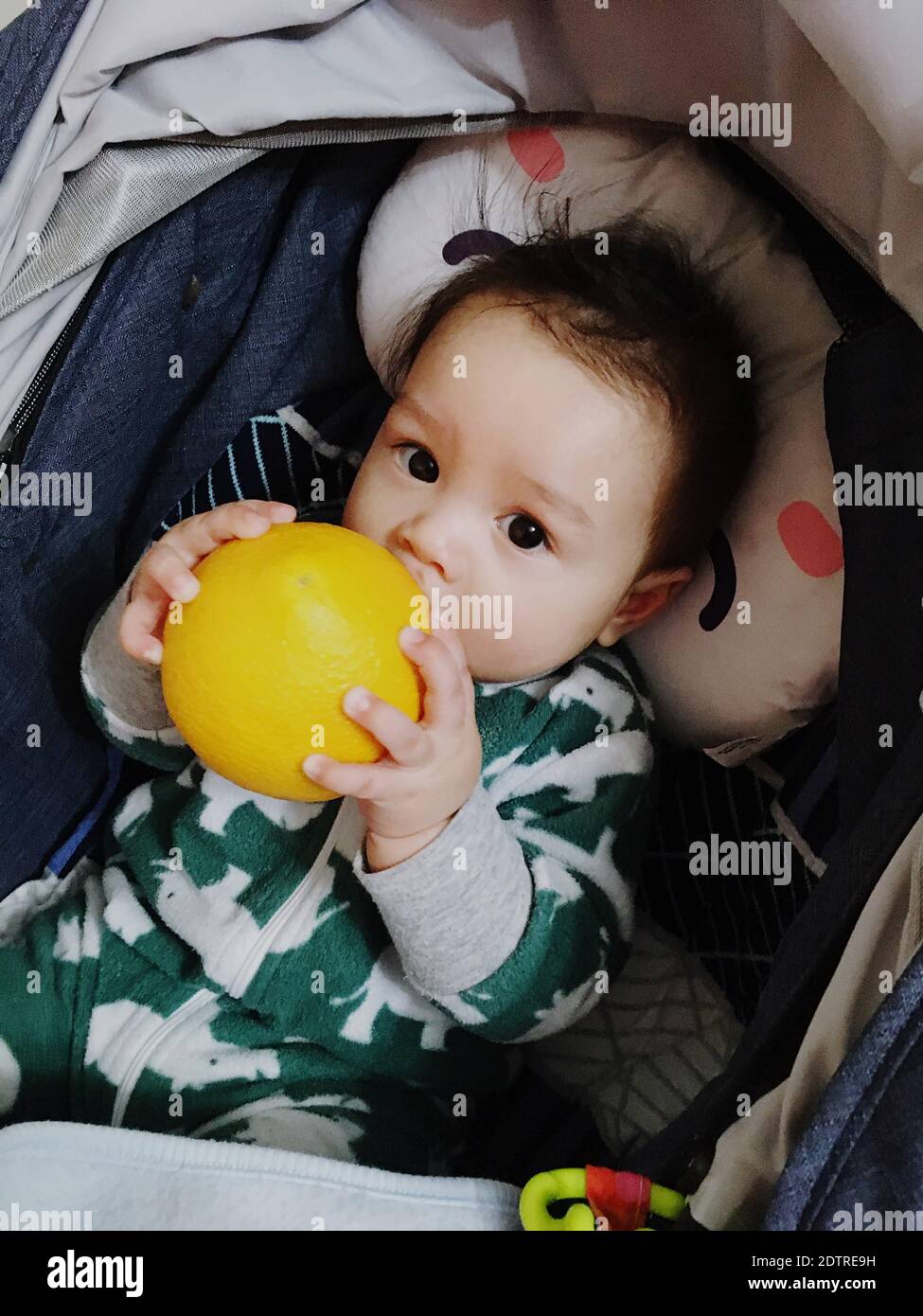 High carriage hi-res stock photography and images - Alamy