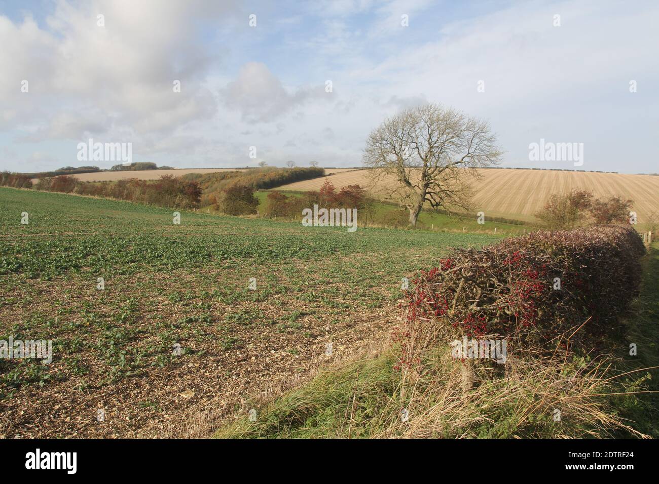 Huggate yorkshire hi-res stock photography and images - Alamy