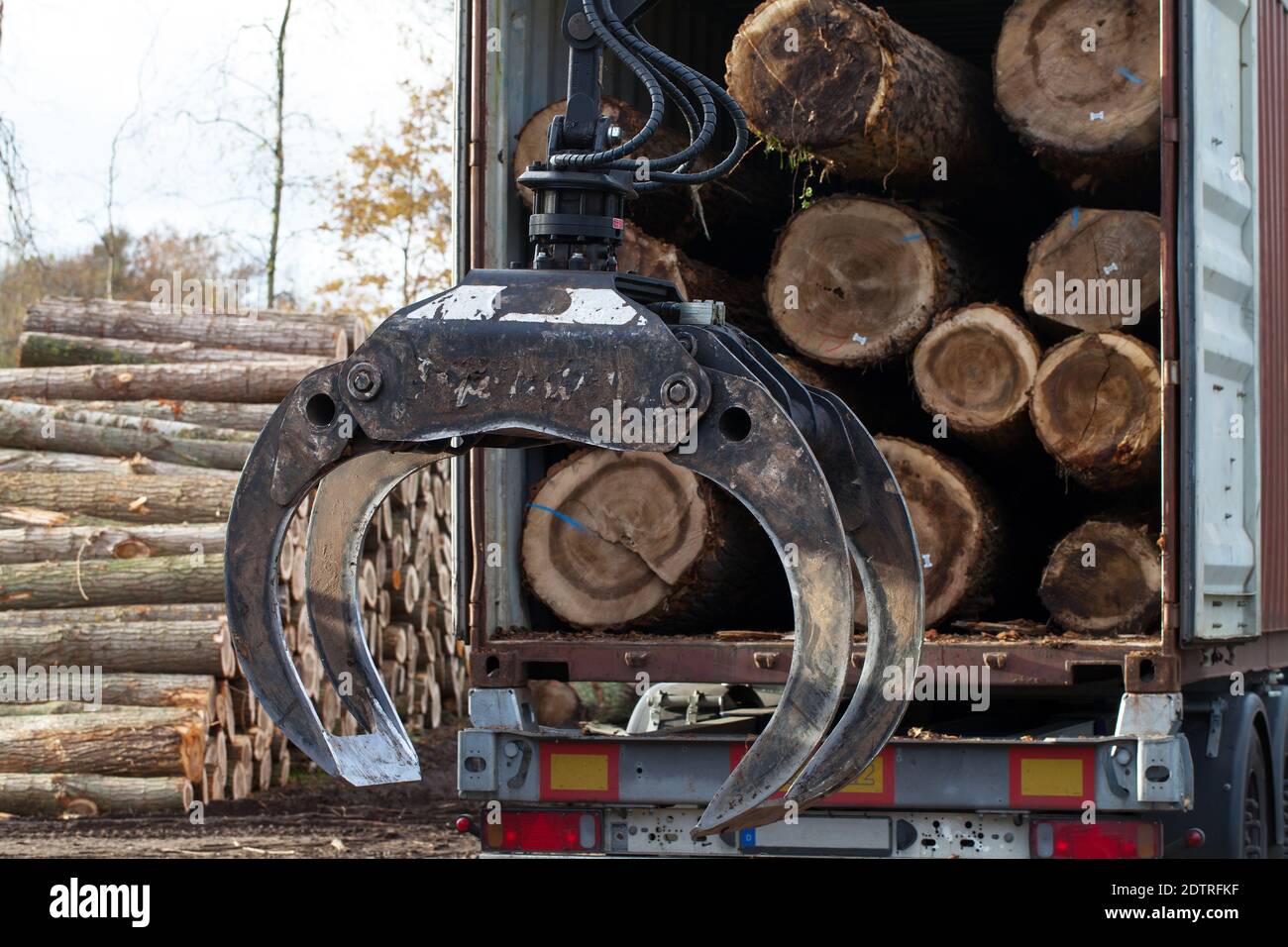 Crane loading lumber hi-res stock photography and images - Alamy
