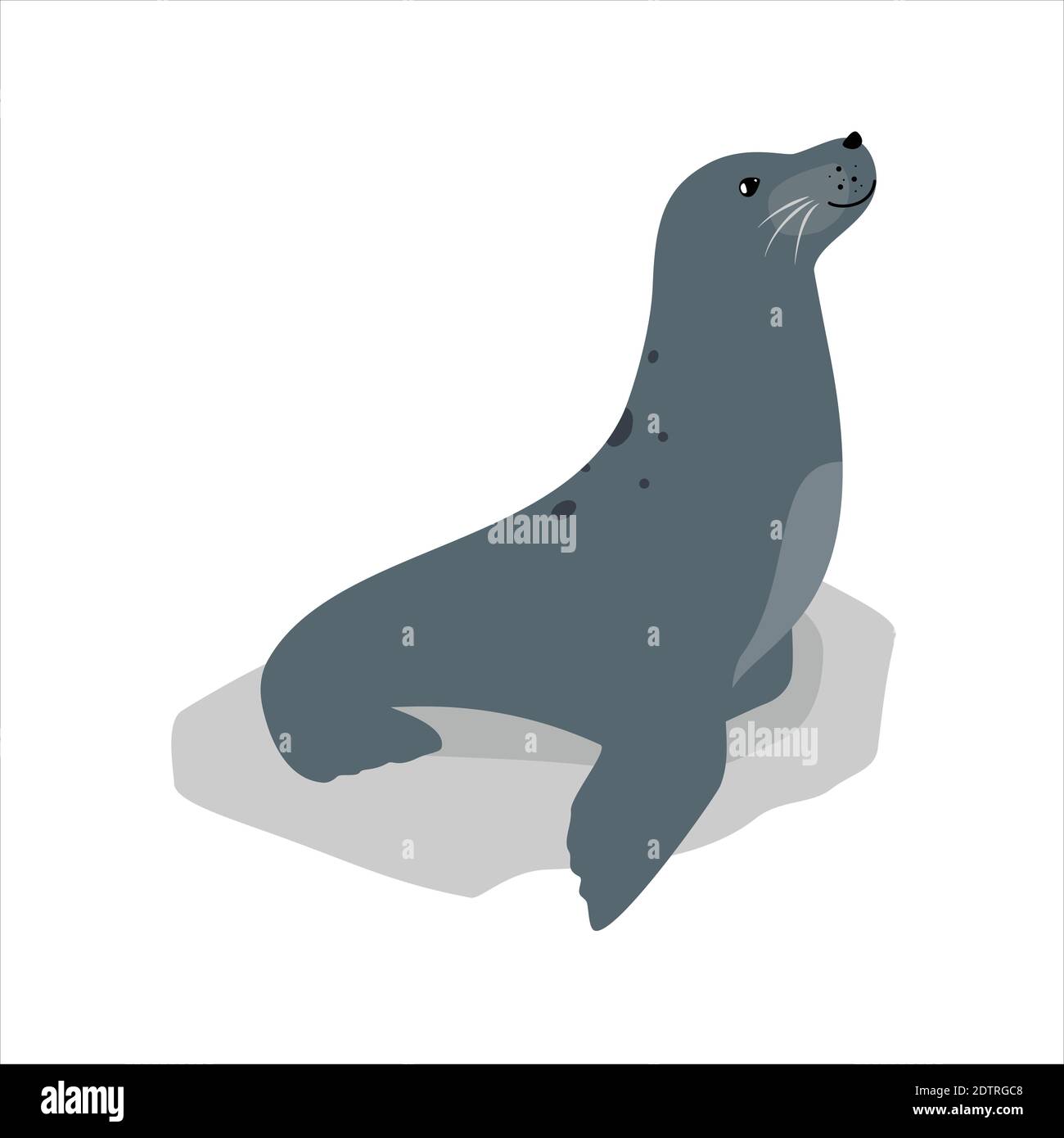 Sealion wildlife Stock Vector Images - Alamy