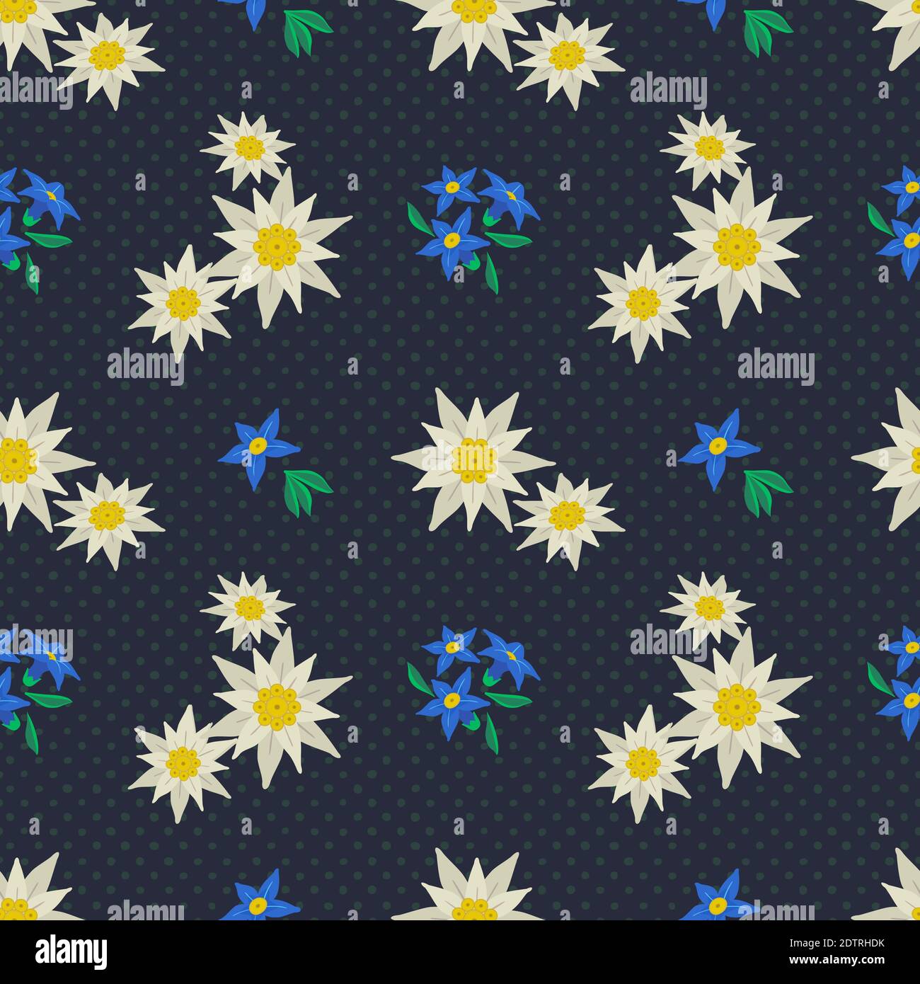 Edelweiss drawing Stock Vector Images - Alamy