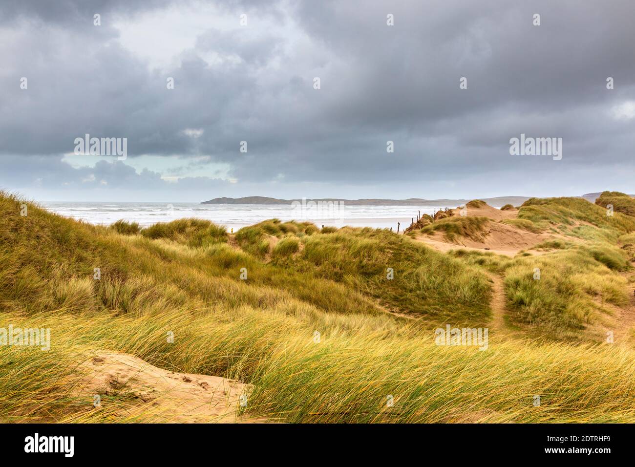 Malltraeth bay forest hi-res stock photography and images - Alamy