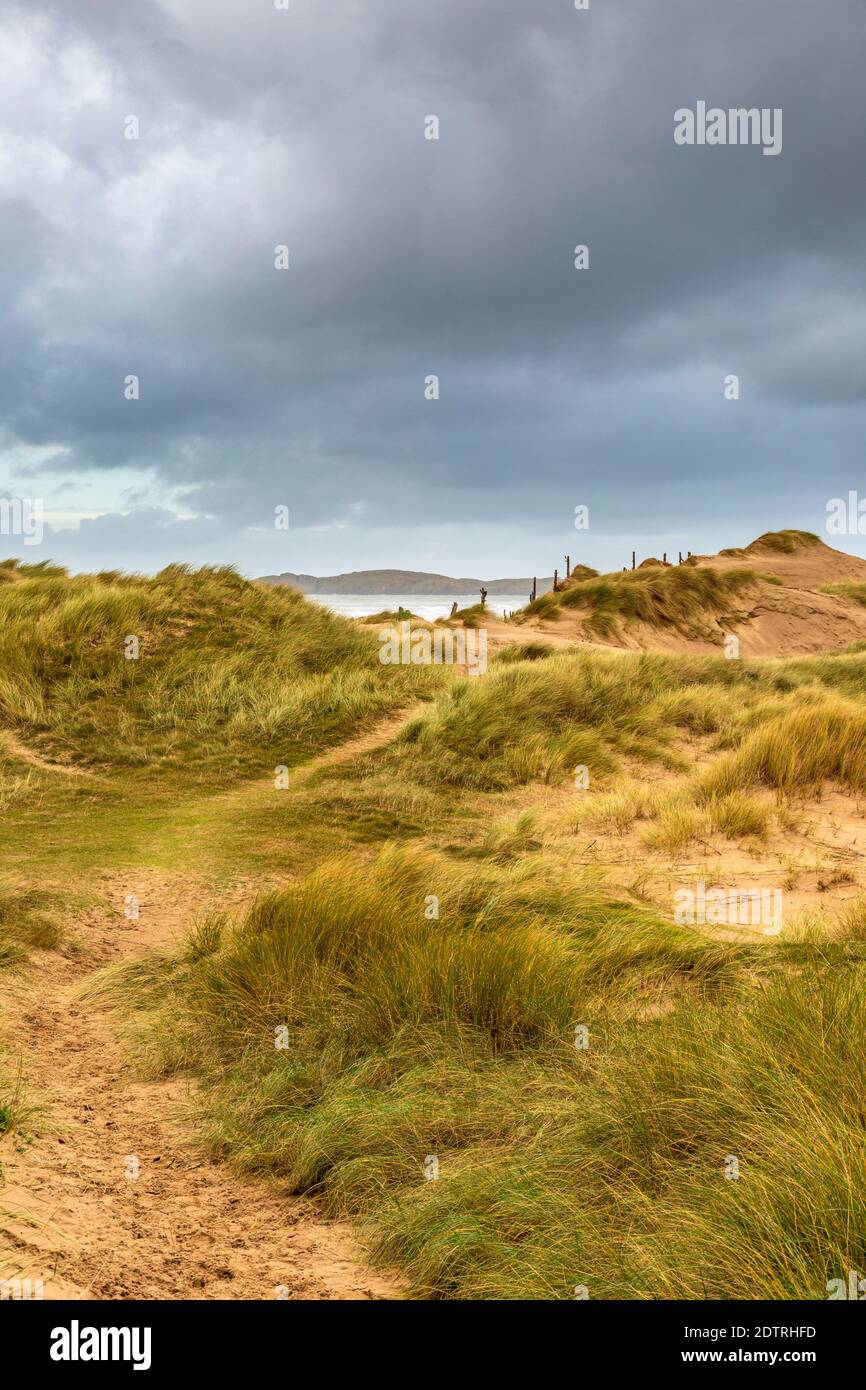 Sand dunes on Malltraeth beach on the edge of Newborough forest at ...