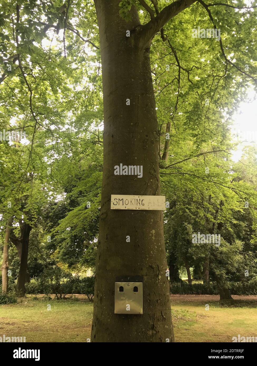 A shot of a tree in a park with a "smoking area" sign Stock Photo - Alamy