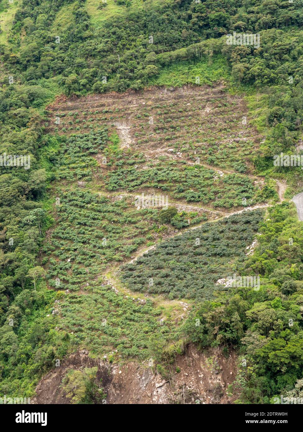 Agriculture on steep slopes hi-res stock photography and images - Alamy