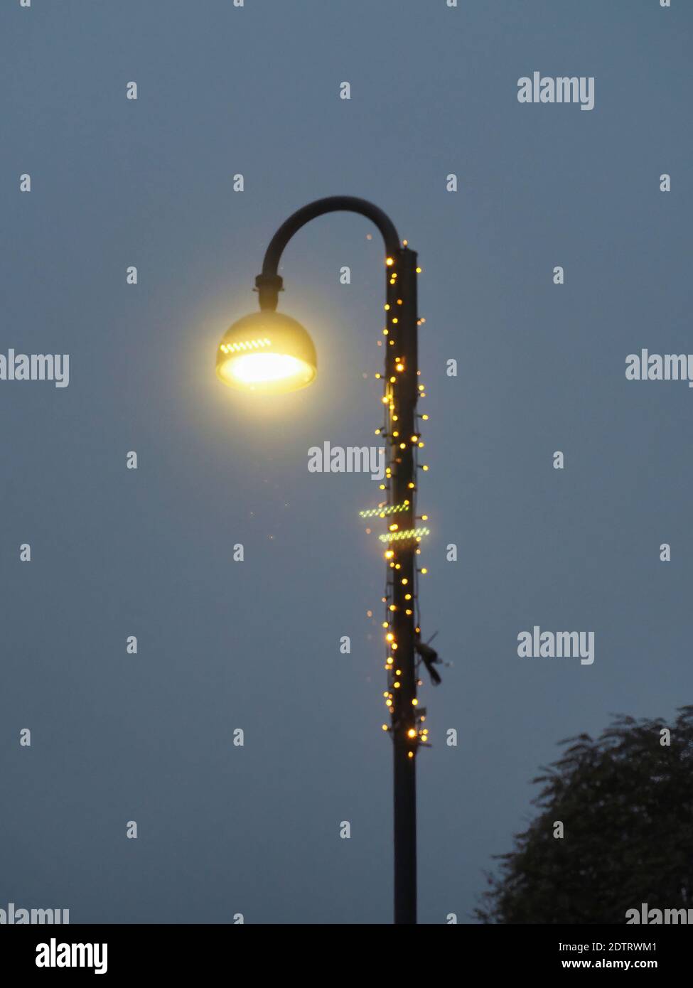 Wrapped around lamp post hi-res stock photography and images - Alamy