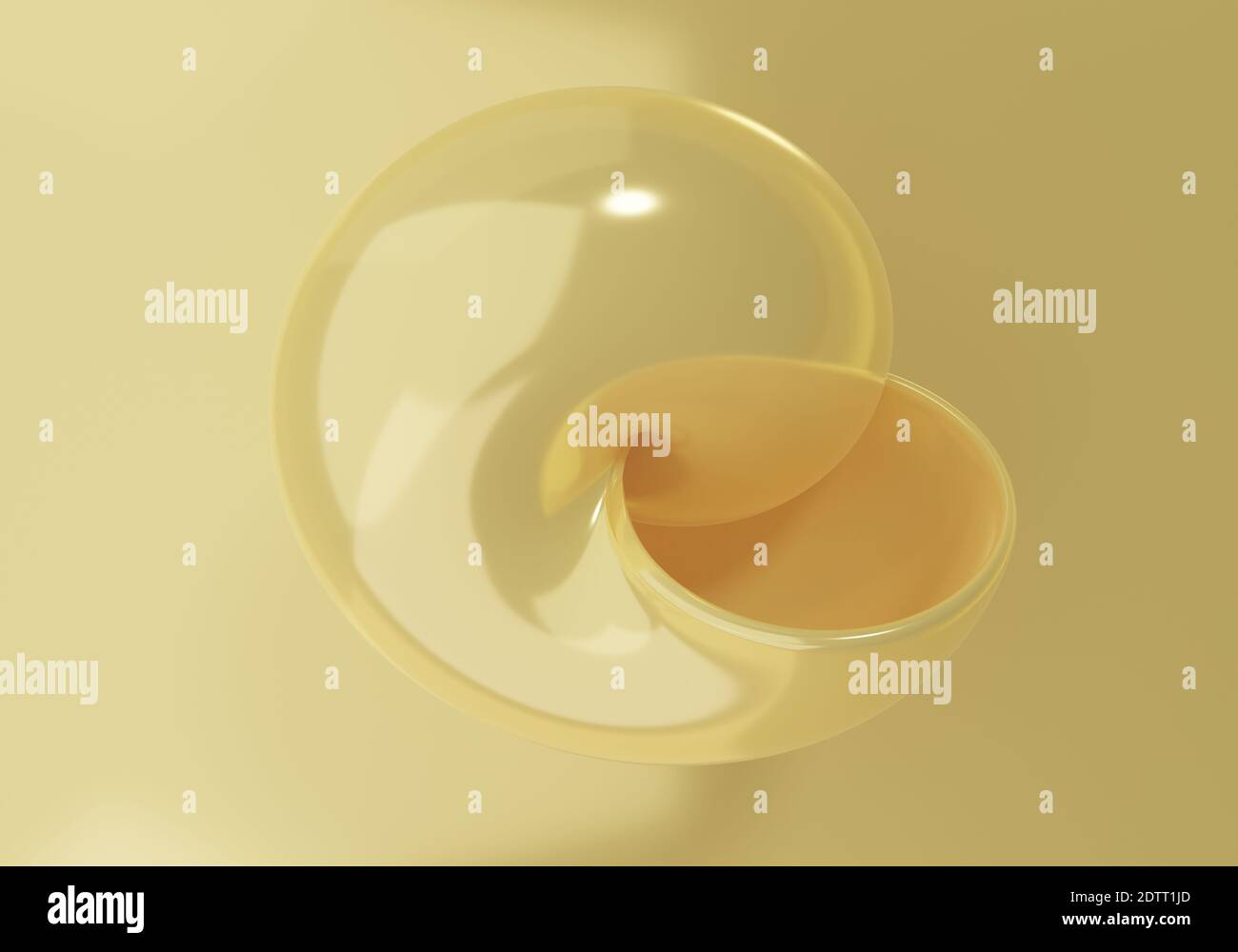 Golden mollusk hi-res stock photography and images - Alamy