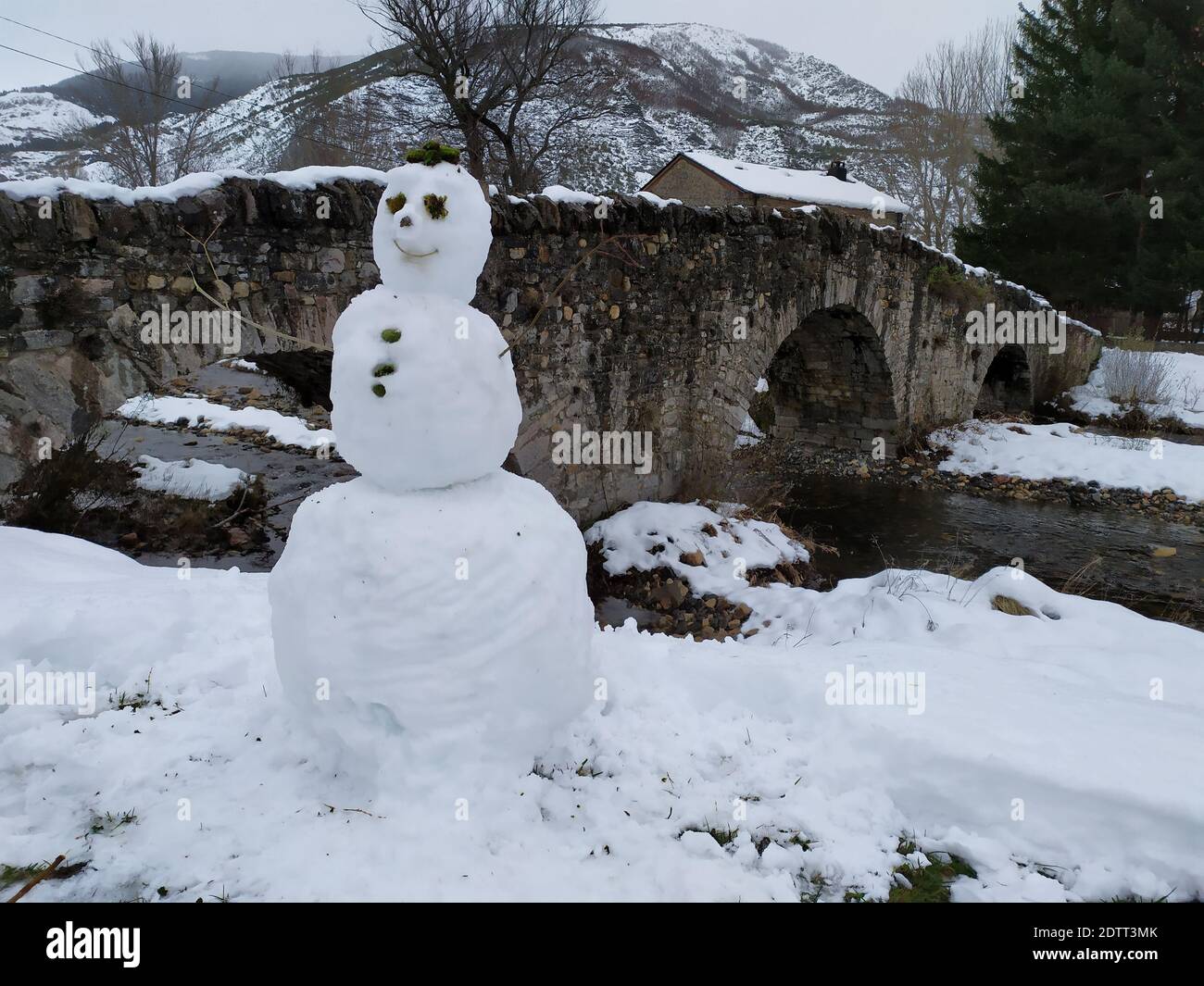 Leon sp hi-res stock photography and images - Alamy