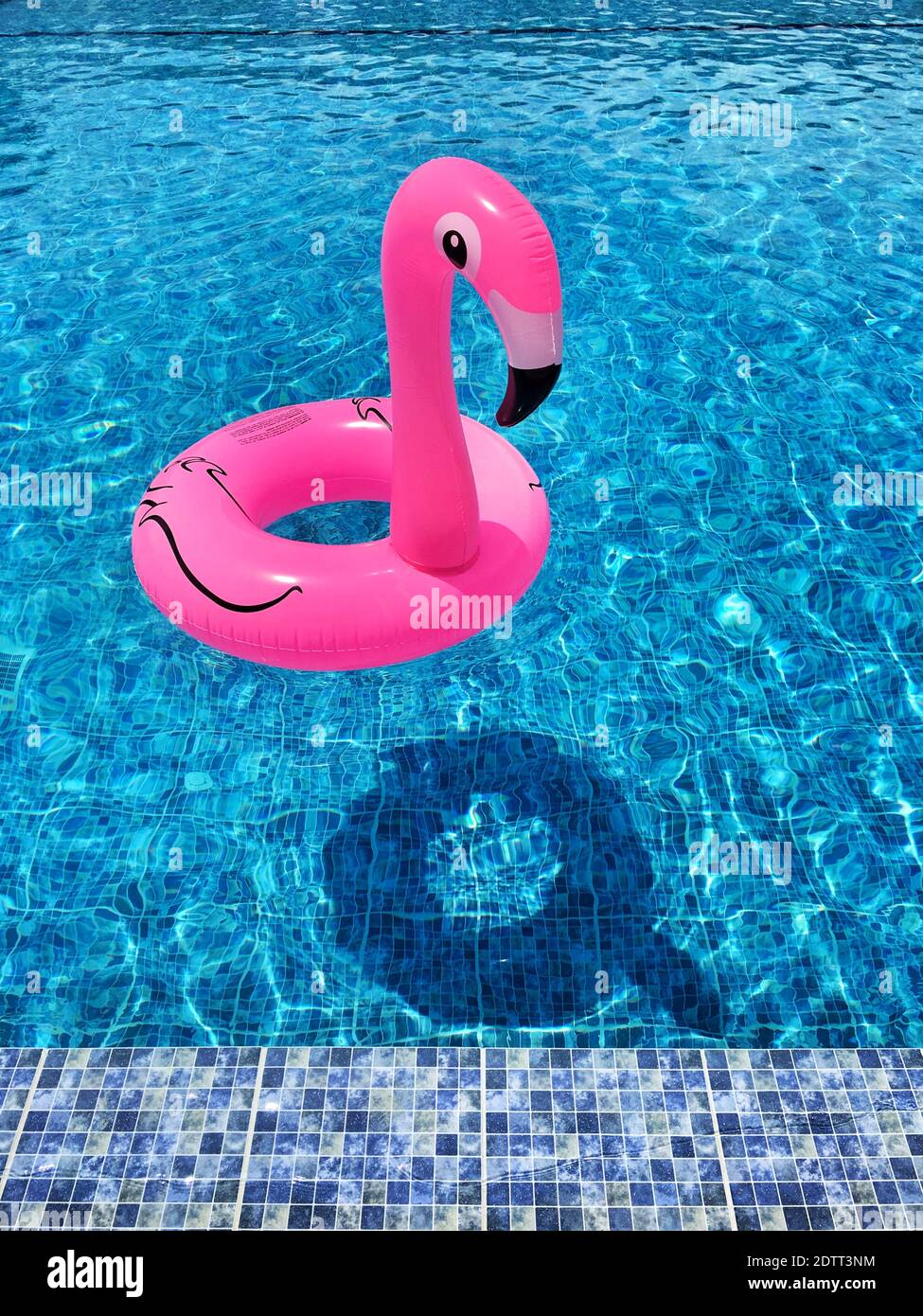 Inflatable floating duck hi-res stock photography and images - Alamy