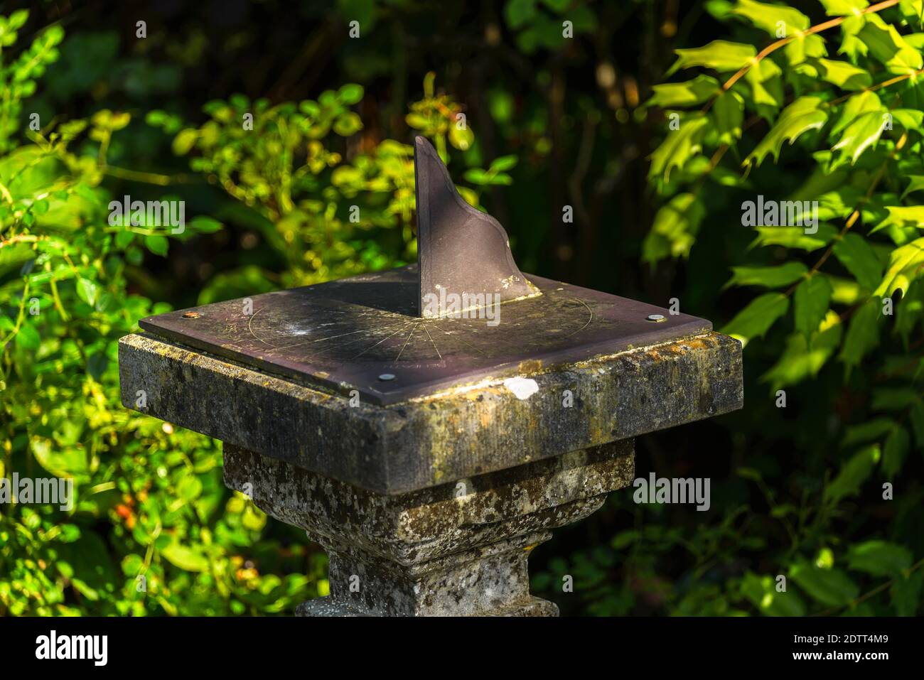 Ancient sundial in the shadows of trees Stock Photo - Alamy