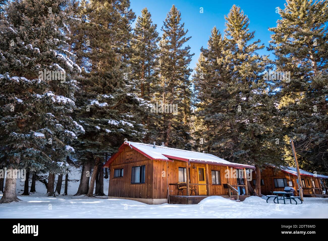 The beautiful wooden cottages on the snow-covered field by the trees ...