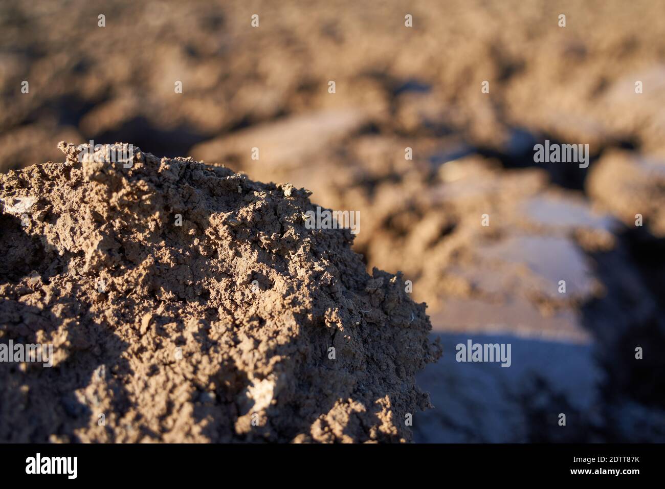 Shallow soil hi-res stock photography and images - Alamy