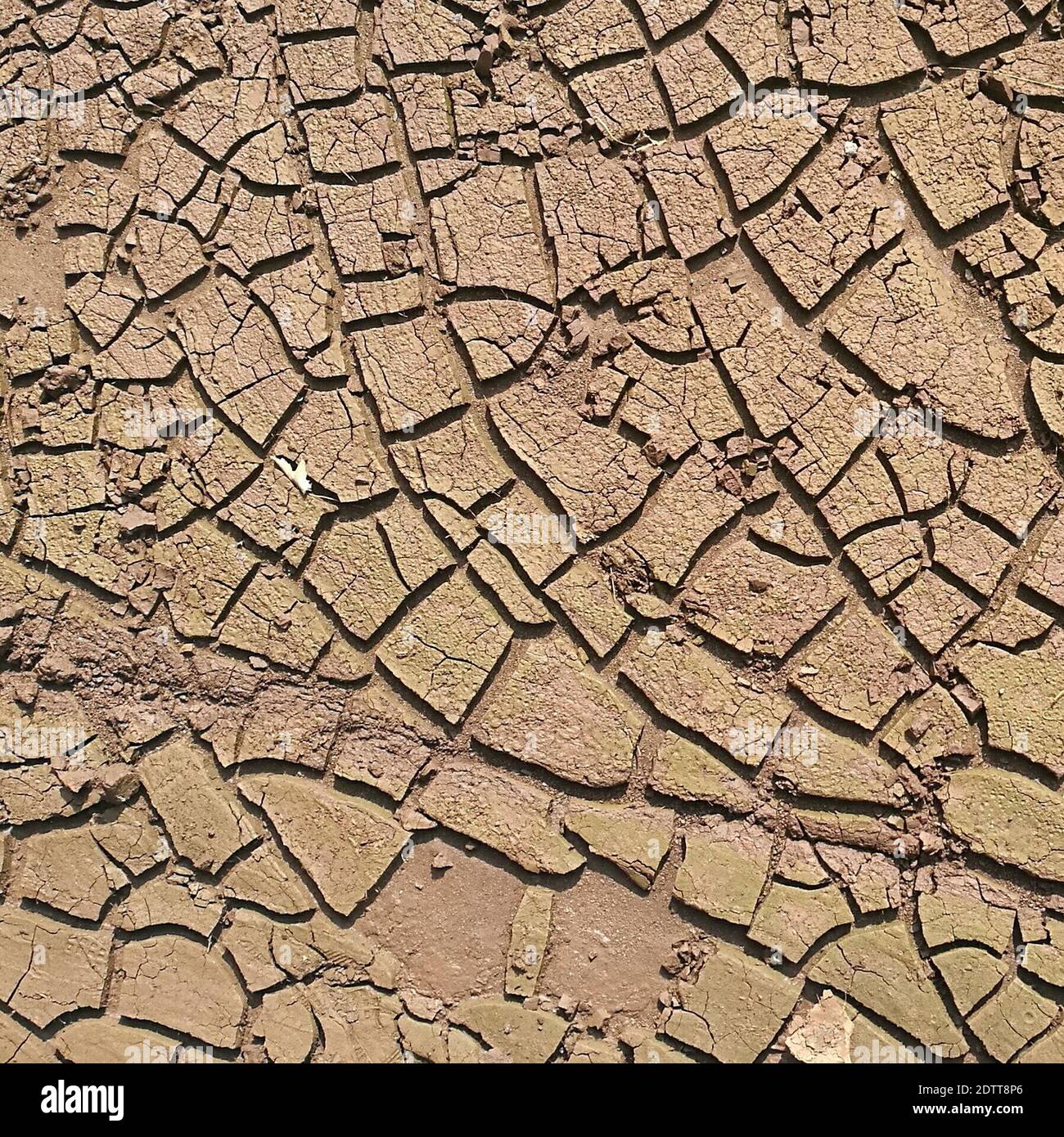Cracked france mud hi-res stock photography and images - Alamy
