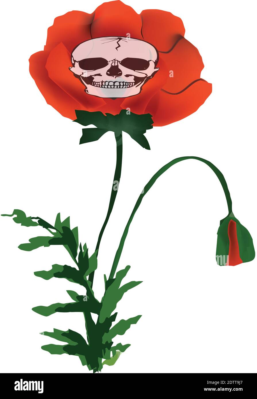 An illustration of a skull head on a poppy flower on a white background ...