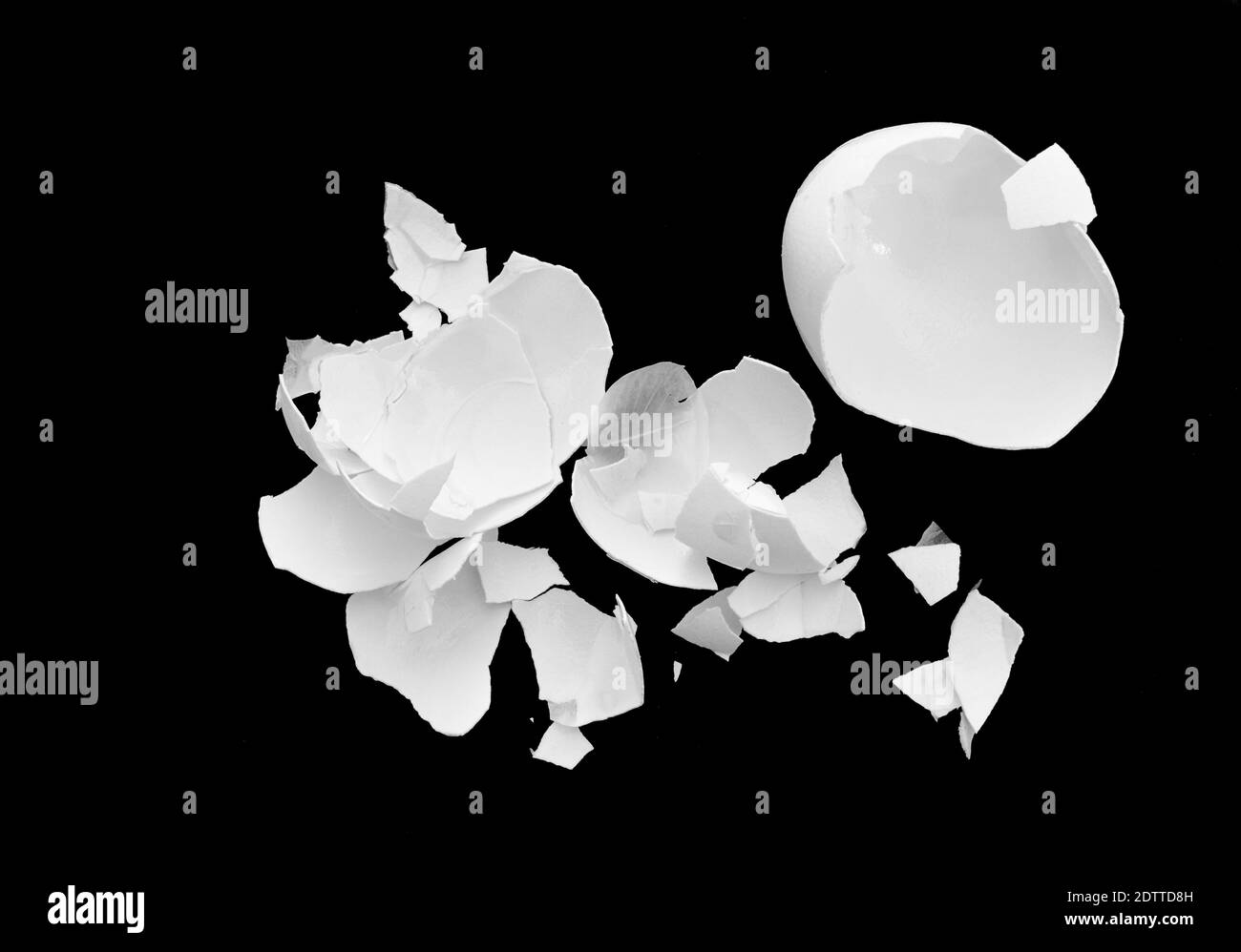 Pieces of Shell of the egg. Soft focus on black background in studio ...