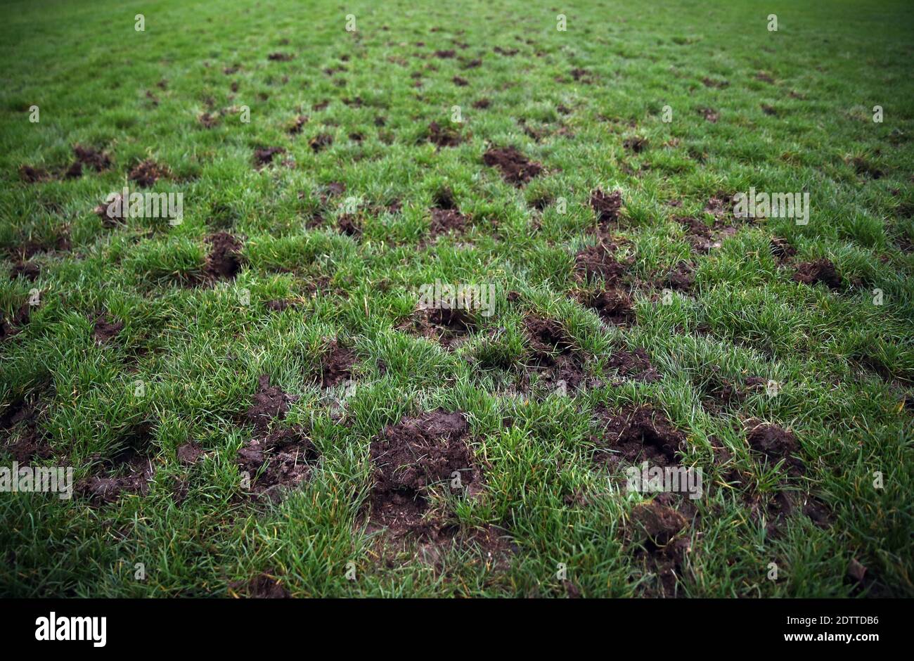 A view of the heavy ground at Huntingdon Racecourse, Cambridgeshire ...