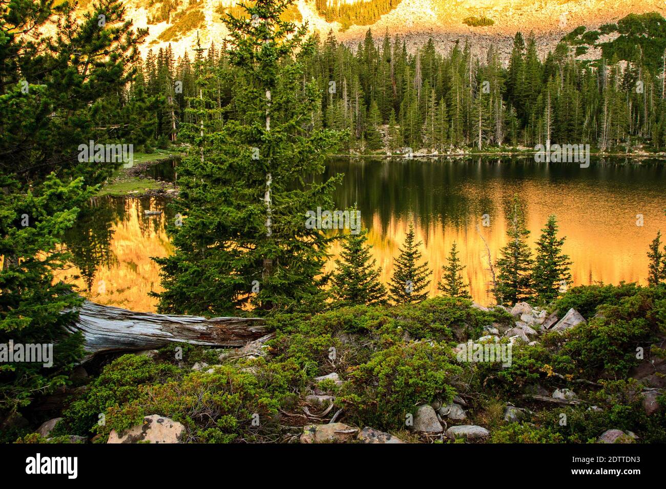 Uintah Lake High Resolution Stock Photography and Images - Alamy