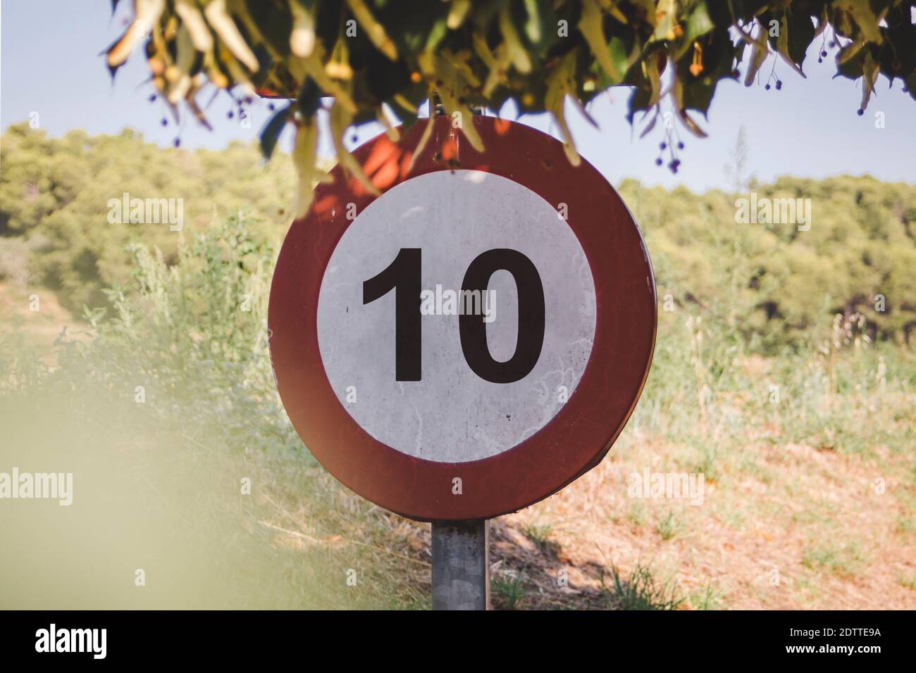 Palau sator hi-res stock photography and images - Alamy