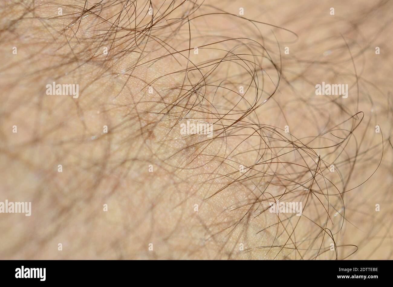 Full human body skin hi-res stock photography and images - Alamy