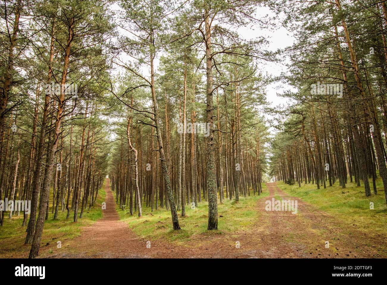Baltic roads hi-res stock photography and images - Alamy