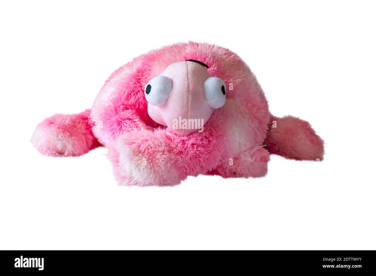 Gor Pets Plush Toy Soft Cuddle Soft Tortoise for Dogs toy isolated on ...