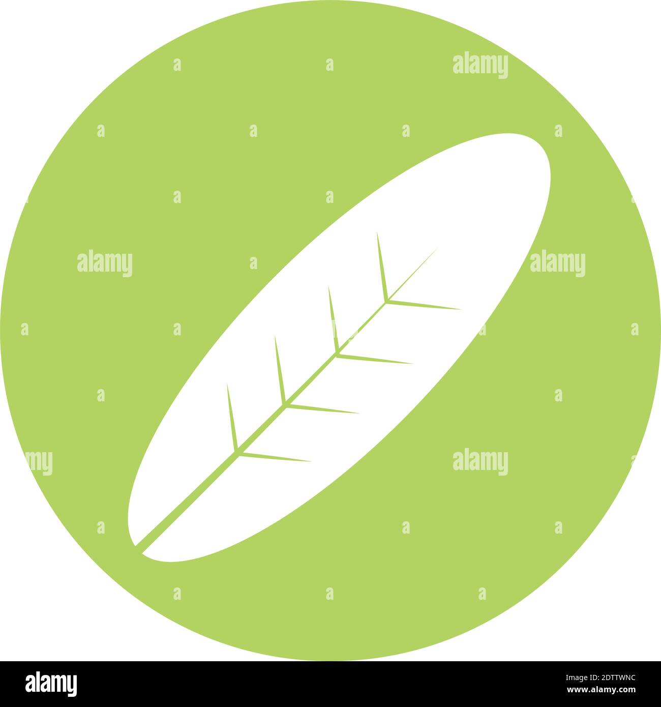 oblong leaf plant style silhouette Stock Vector Image & Art - Alamy