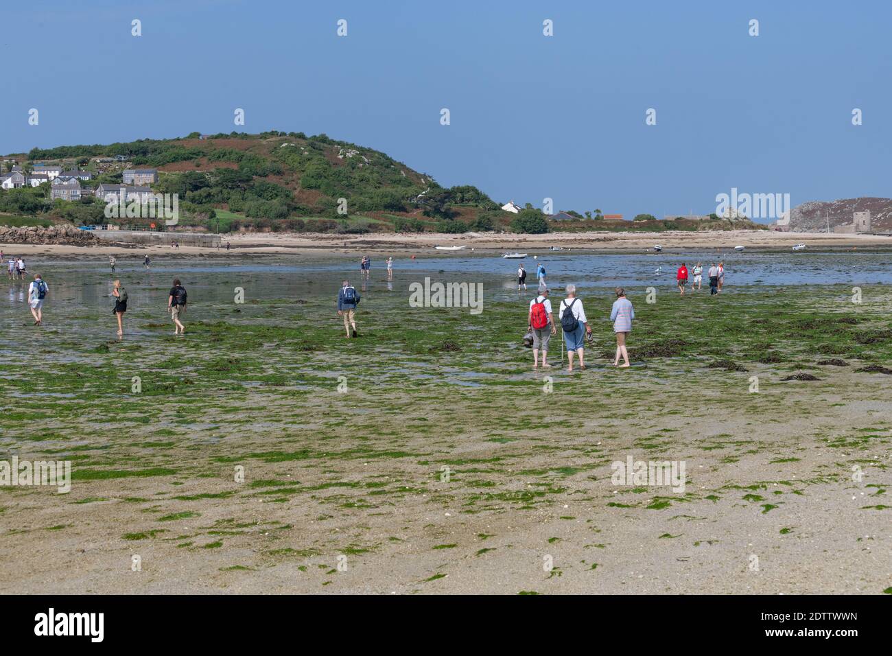 Bryher landscape hi-res stock photography and images - Alamy