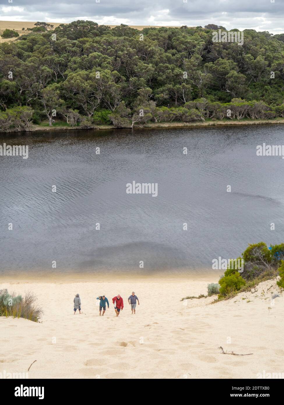 Men climbing up a sand dune to go sandboarding at Moore River ...