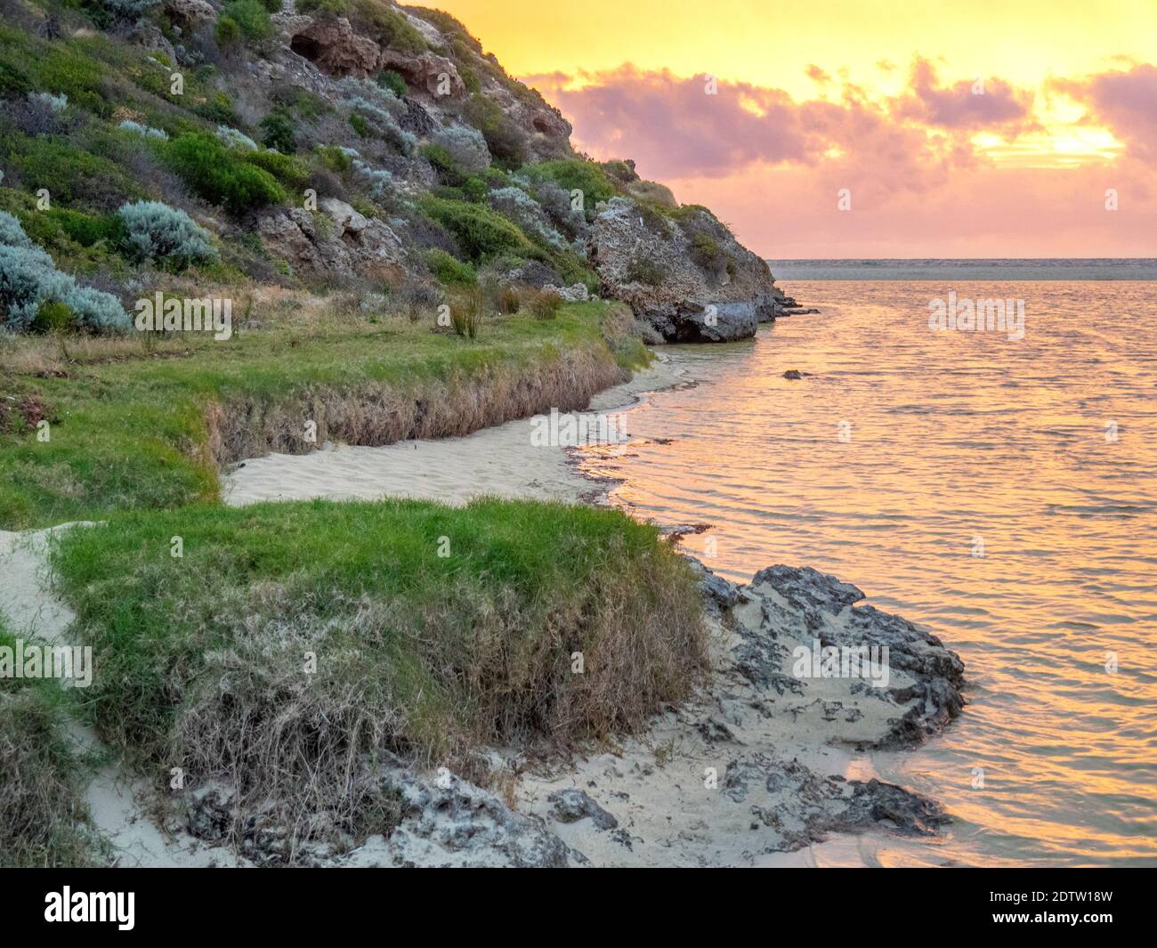 Indian estuary hi-res stock photography and images - Alamy