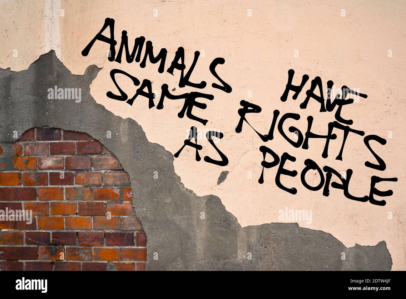 Animals Have Rights