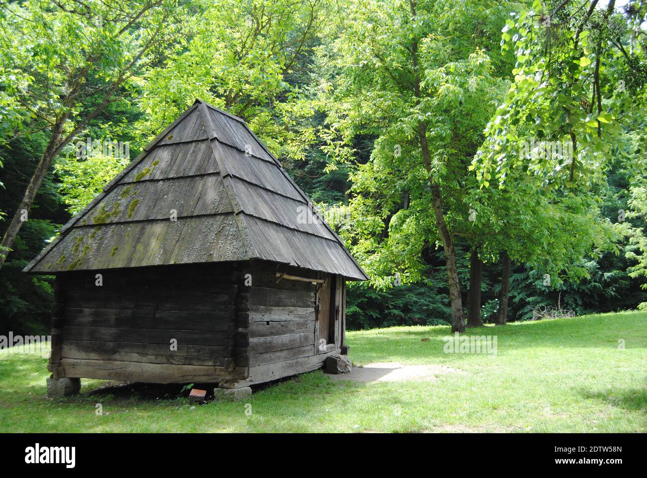 Old structure in forest hi-res stock photography and images - Alamy