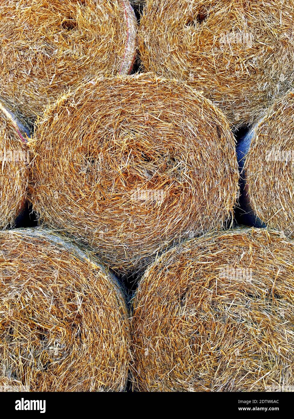 Hay Bales Full Frame High Resolution Stock Photography and Images - Alamy