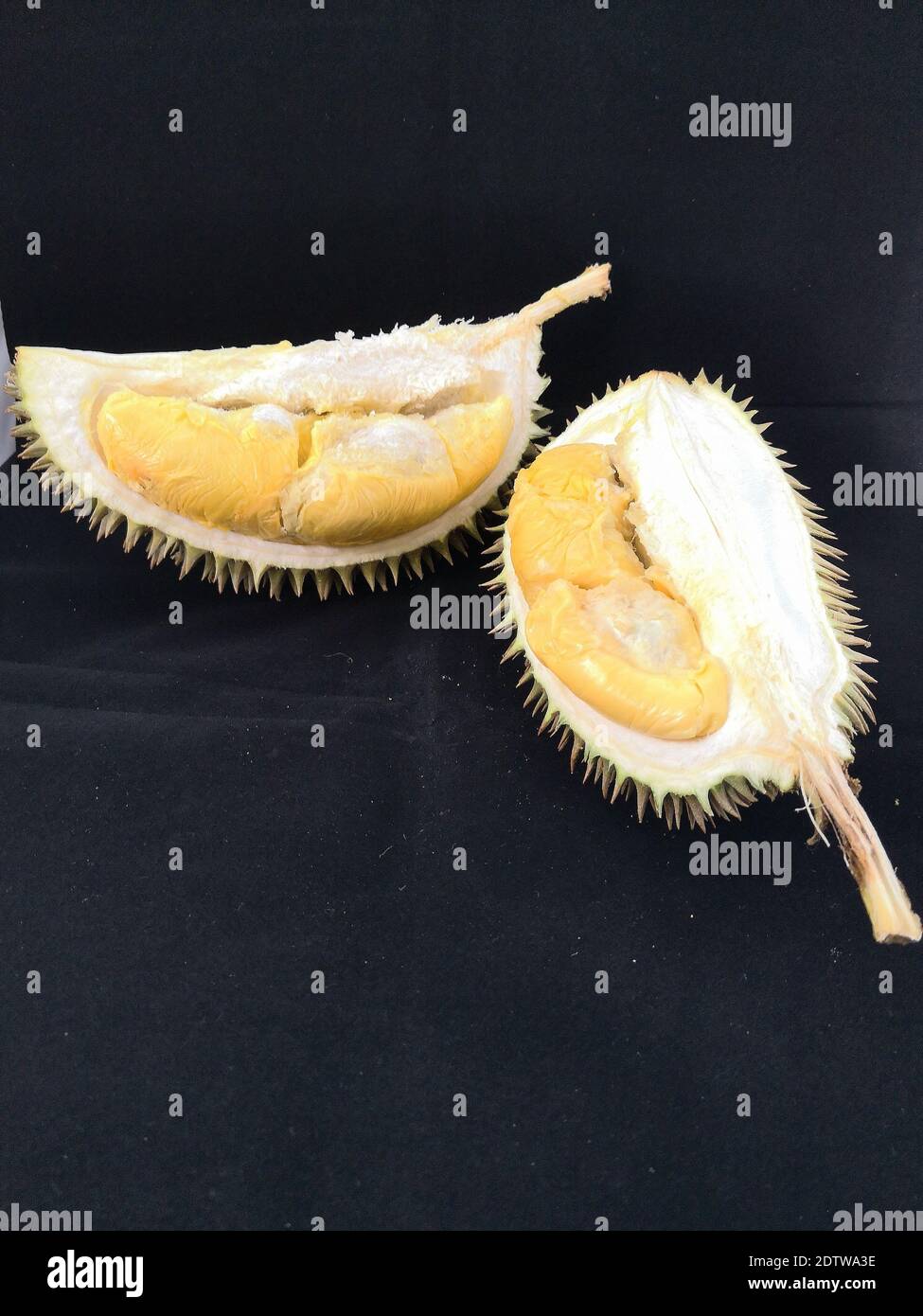 Two durian hi-res stock photography and images - Alamy