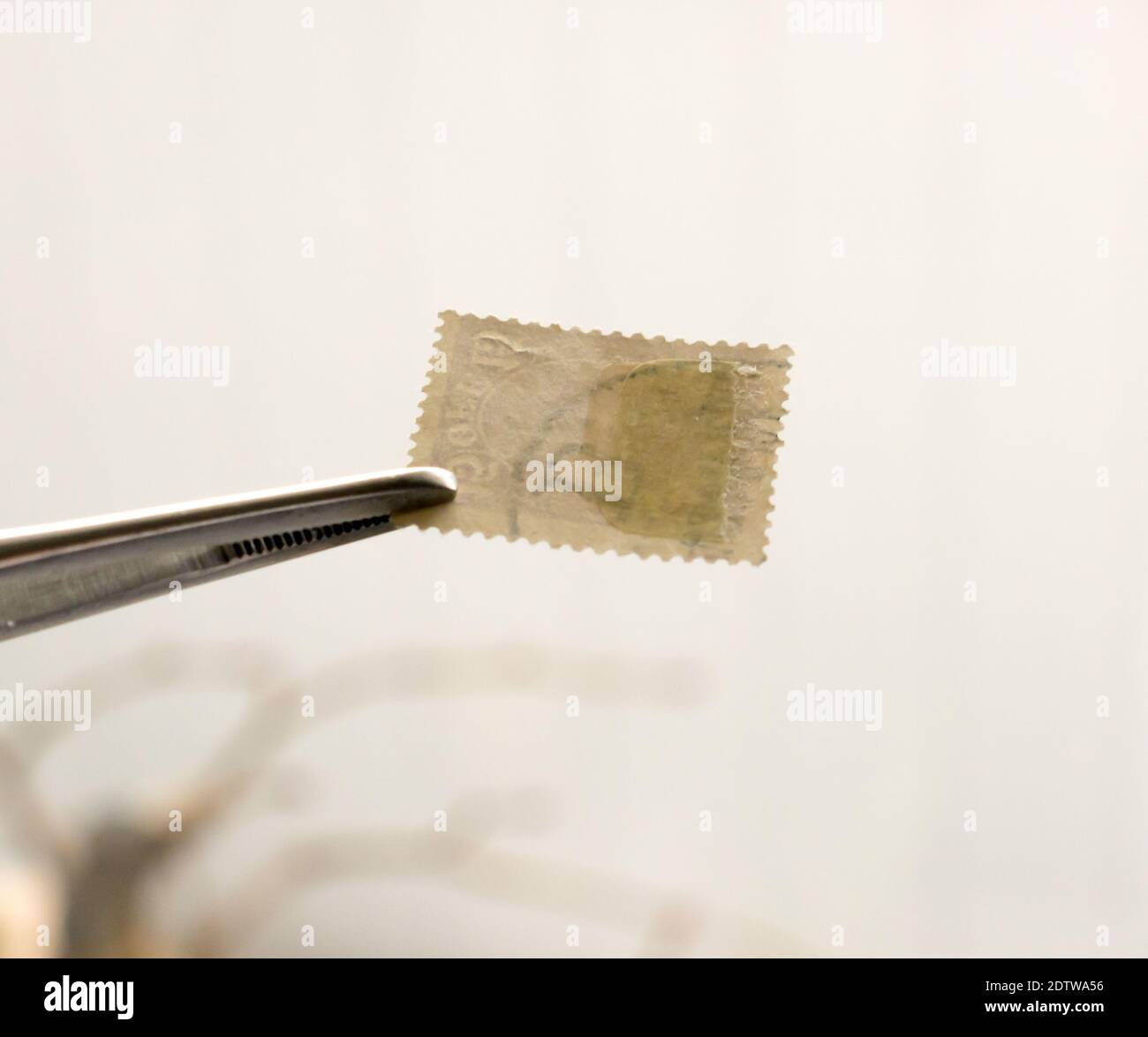Postage stamp perforated border hi-res stock photography and images - Alamy