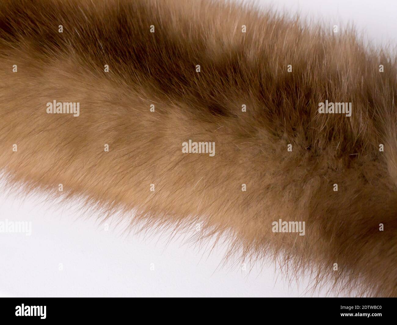 The Fur background and texture Stock Photo - Alamy