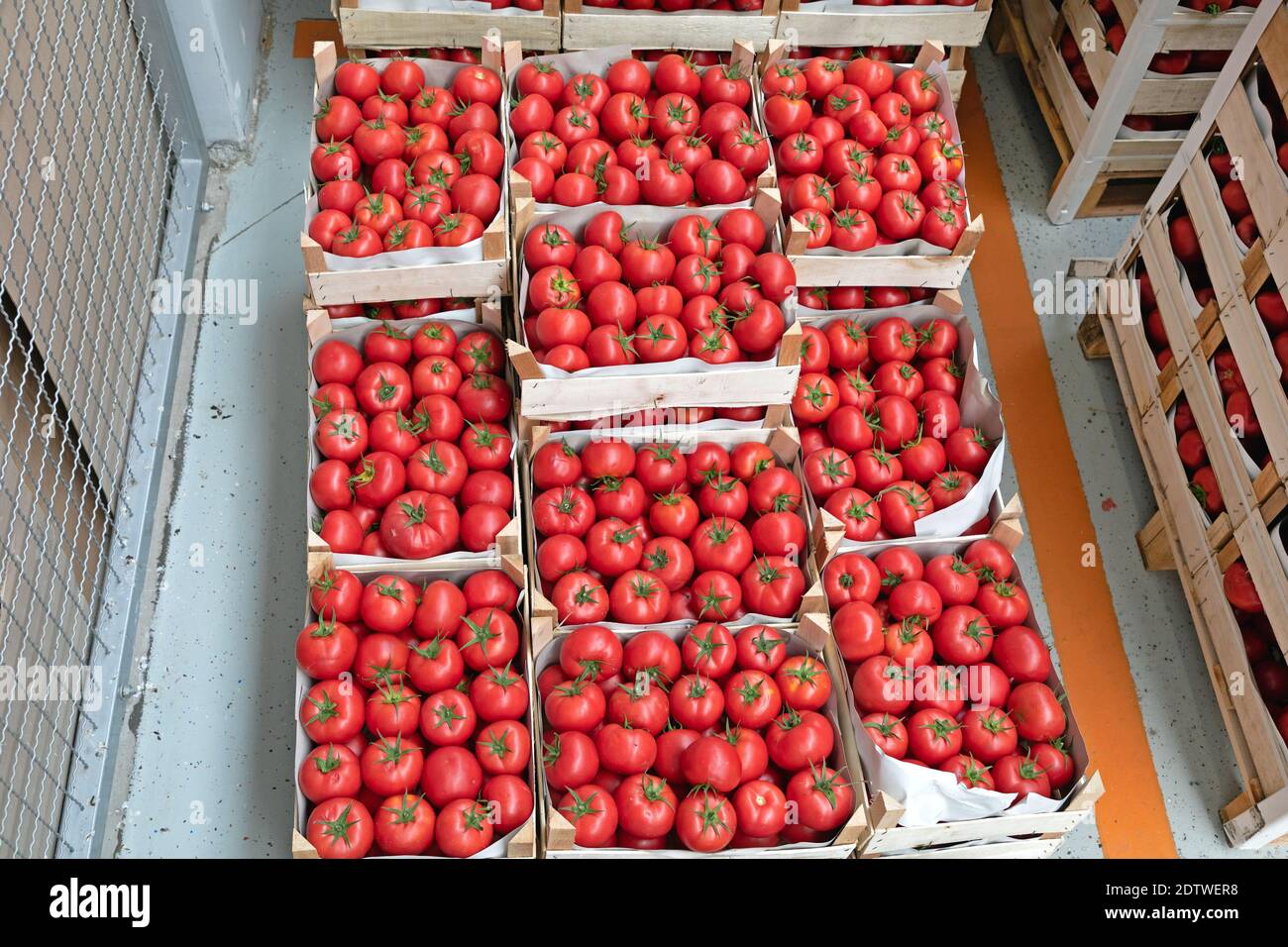 Crates of Red Tomatoes in Warehouse Storage Stock Photo - Alamy