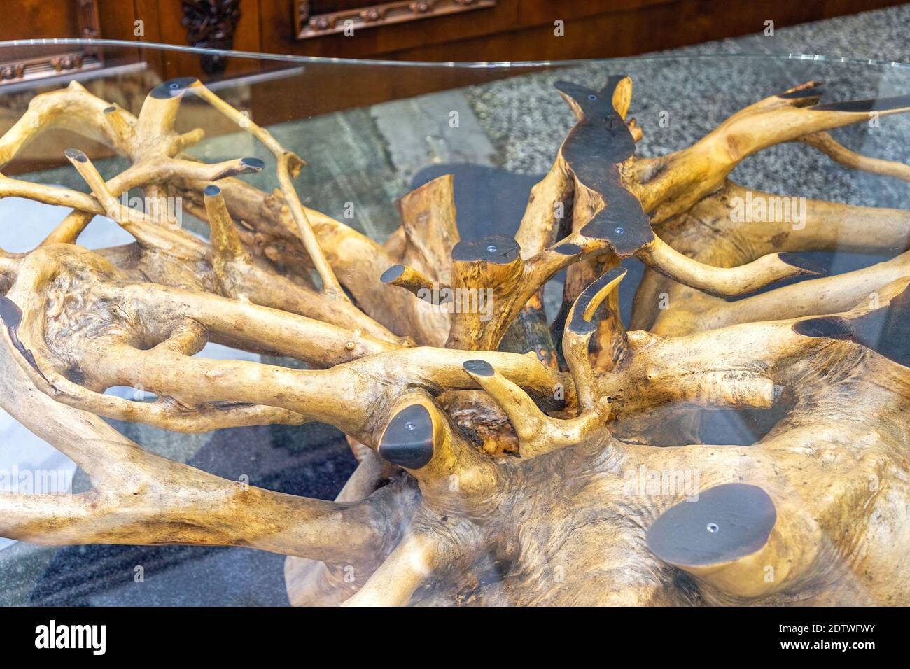 Wood Root Coffee Table With Glass Top Stock Photo - Alamy