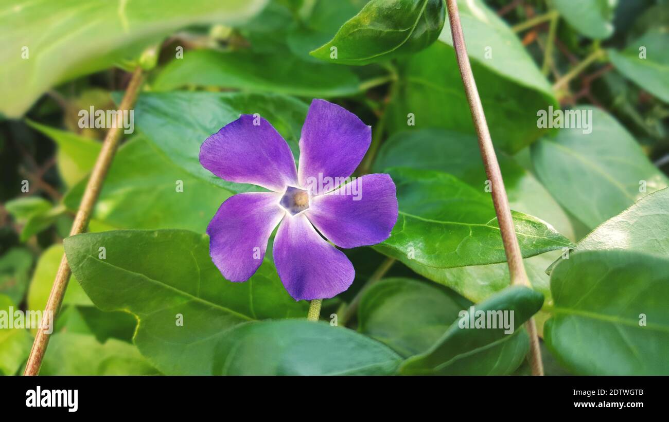 Muthill High Resolution Stock Photography and Images - Alamy