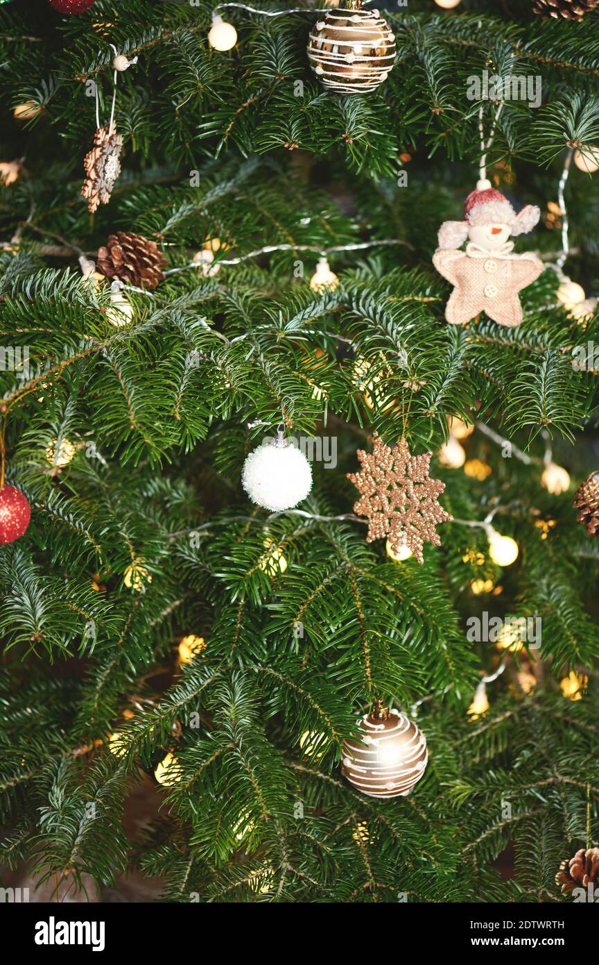 Celebration theme christmas tree hi-res stock photography and images ...